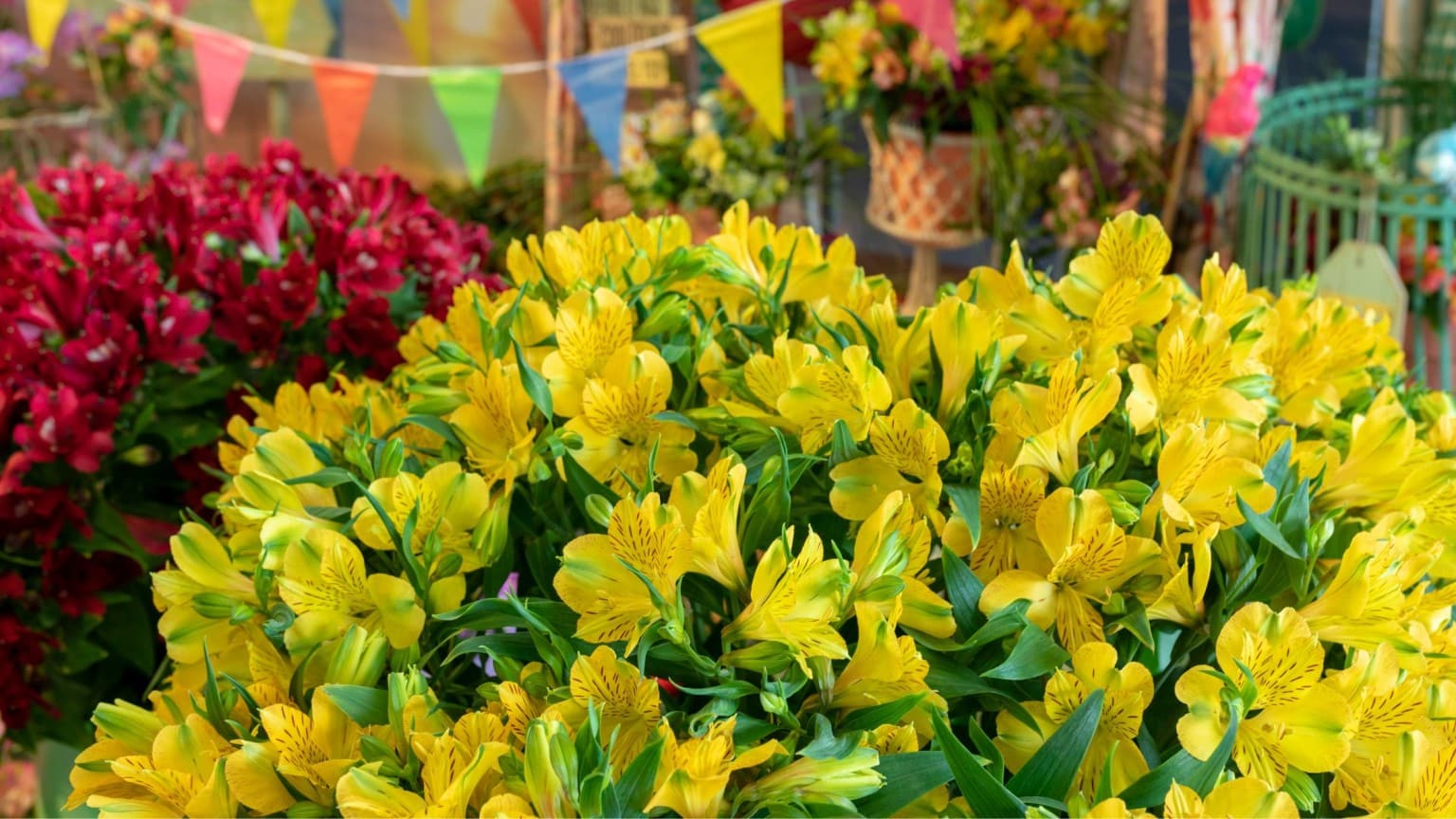 10 Bunga Potong yang Paling Cepat Layu - De Orchids