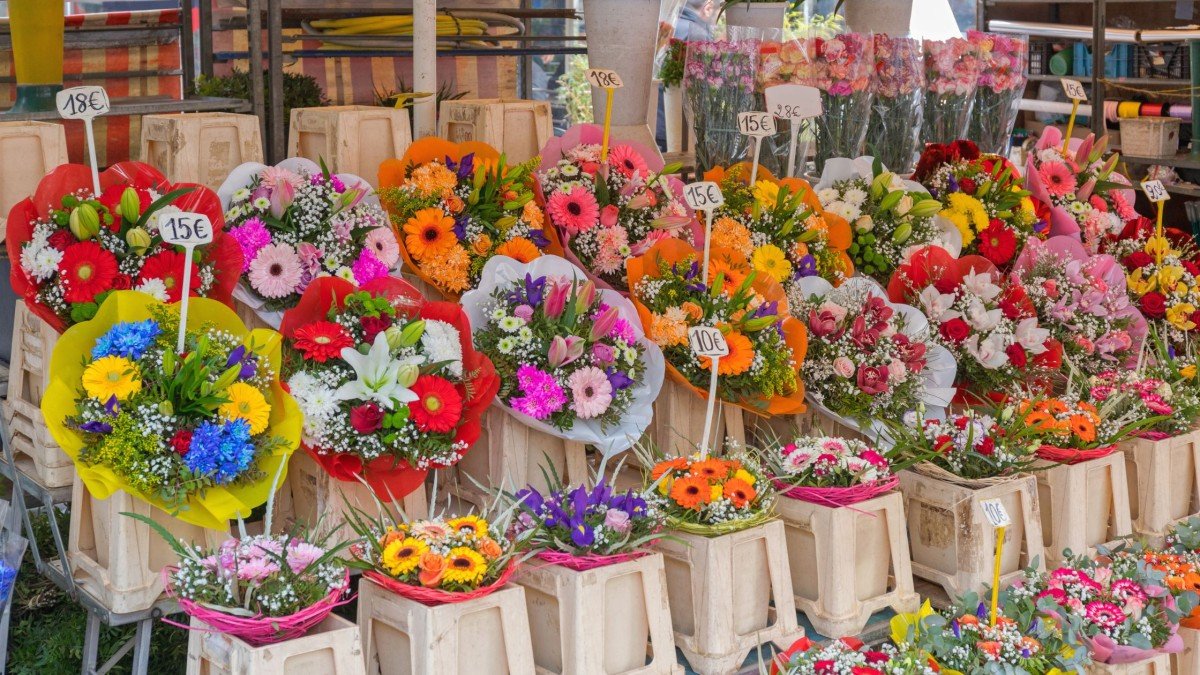 Warna Bunga dan Maknanya secara Umum - De Orchids