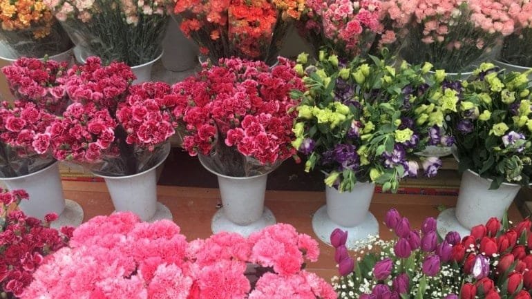 100 Nama-Nama Bunga - De Orchids