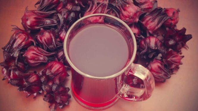 Bunga Rosella: Pengenalan, Manfaat, dan Penggunaan Tradisional - De Orchids