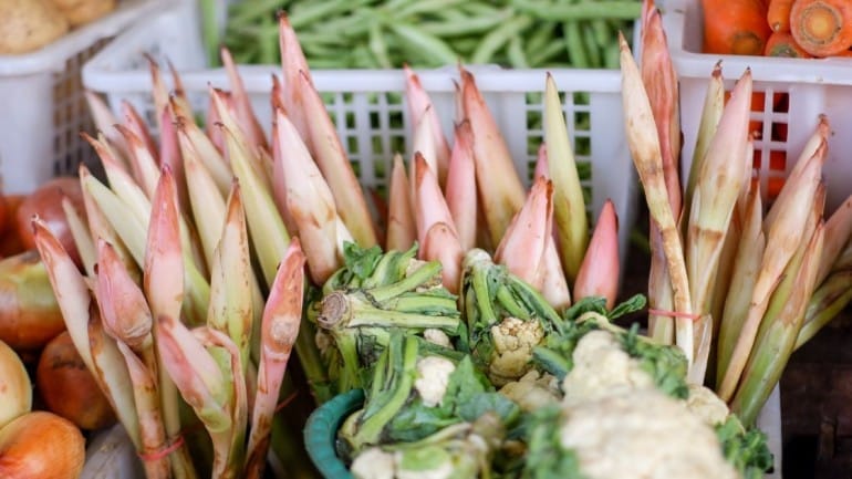 Mengenal Bunga Kecombrang - De Orchids