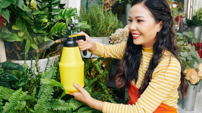 Fungsi Pupuk TSP untuk Tanaman - De Orchids