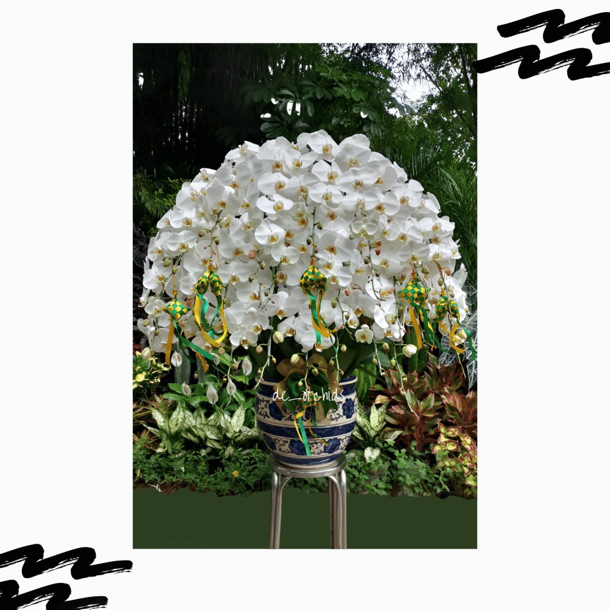 Anggrek bulan Hampers Lebaran 25 Pohon Warna Putih - De Orchids